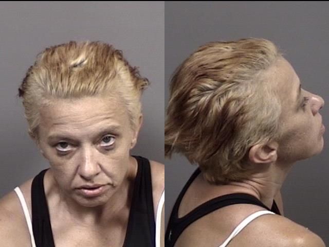 KERRI LEE OBRIEN of HERNANDO - citruscountybusted.com