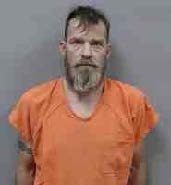 BROWN, CHRISTOPHER LYNN - citruscountybusted.com