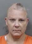 ANDERSON, PATRICIA LYNN - citruscountybusted.com